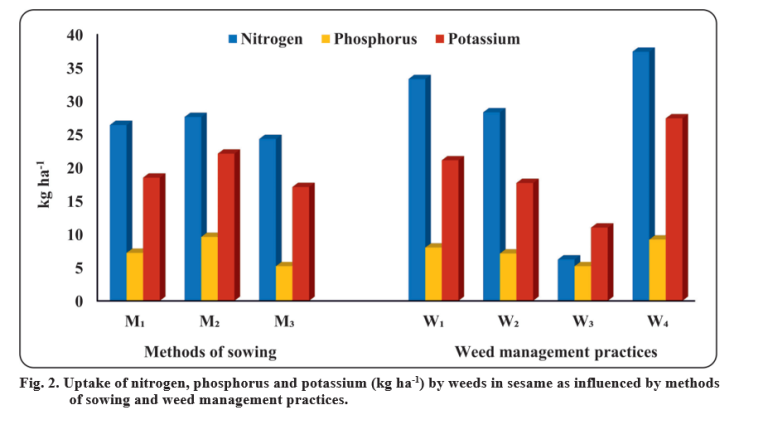 Nutrient Uptake as Influenced by Methods of Sowing and Weed Management ...